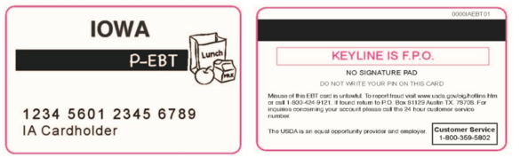 Summer Pandemic Electronic Benefit Transfer Program | Health & Human Services